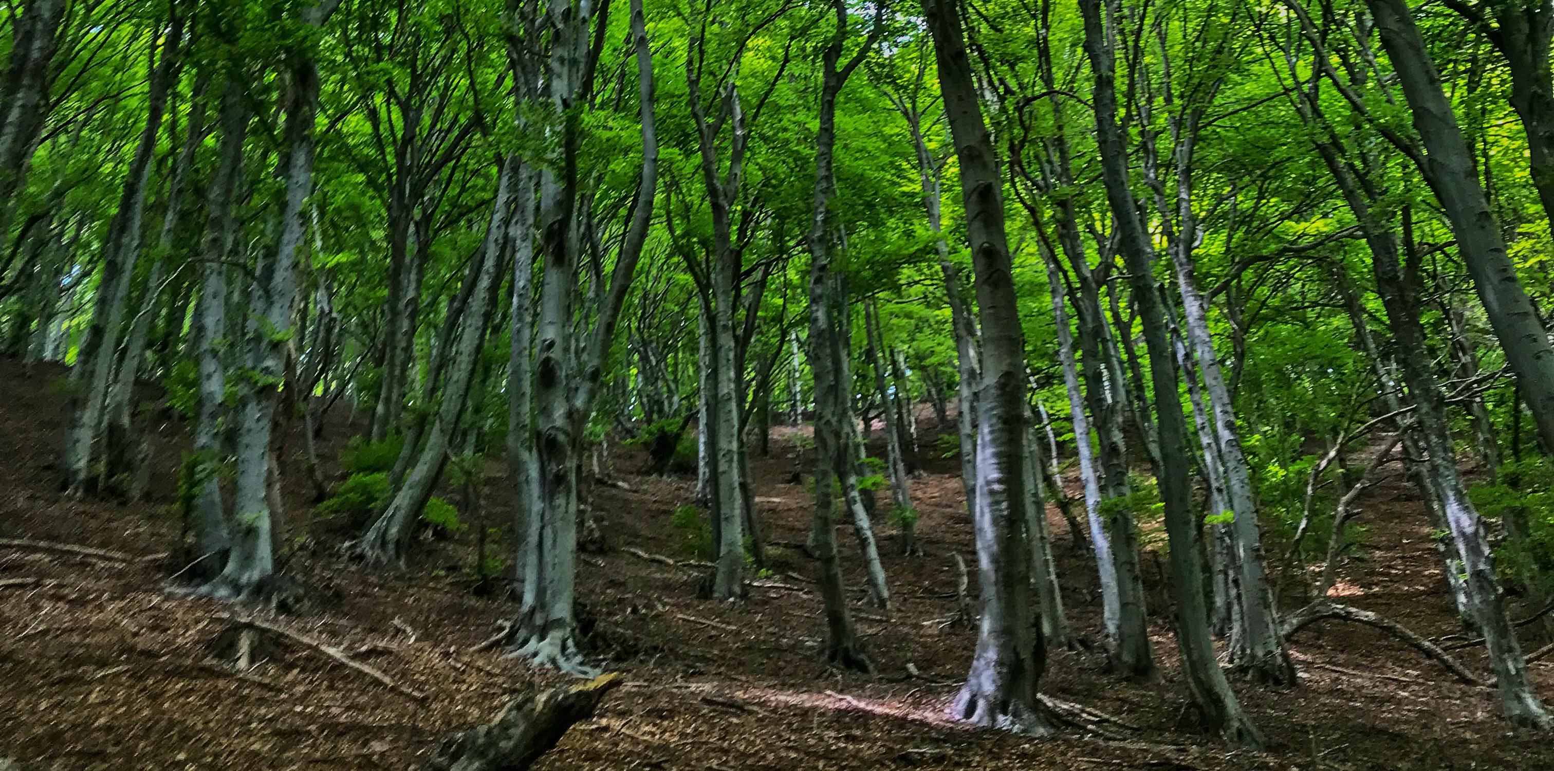 Consorzio Valle del Cassarate