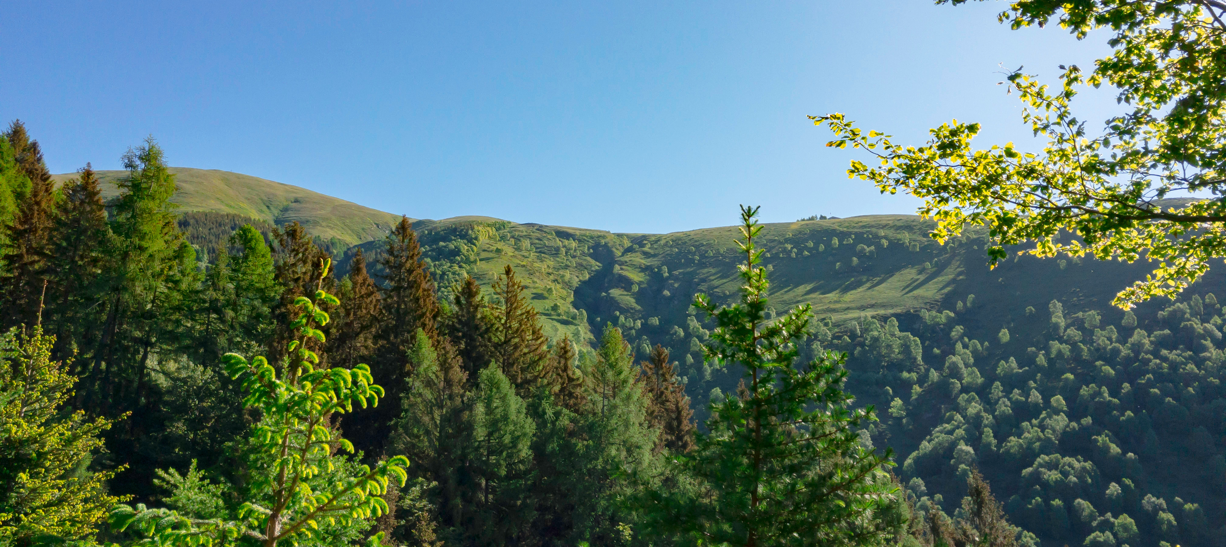 Consorzio Valle del Cassarate